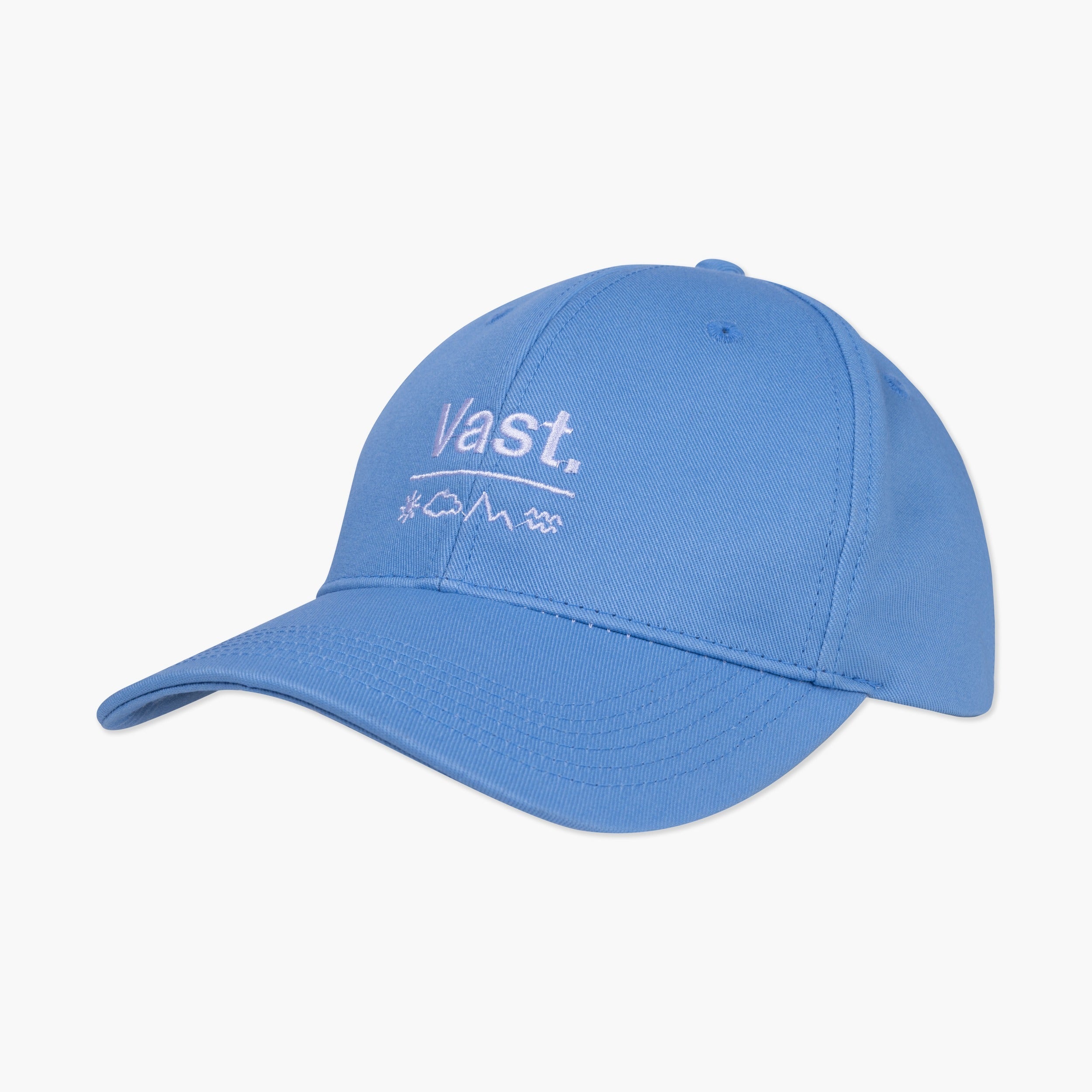 Elements 6 Panel Flat Bill – Vast.
